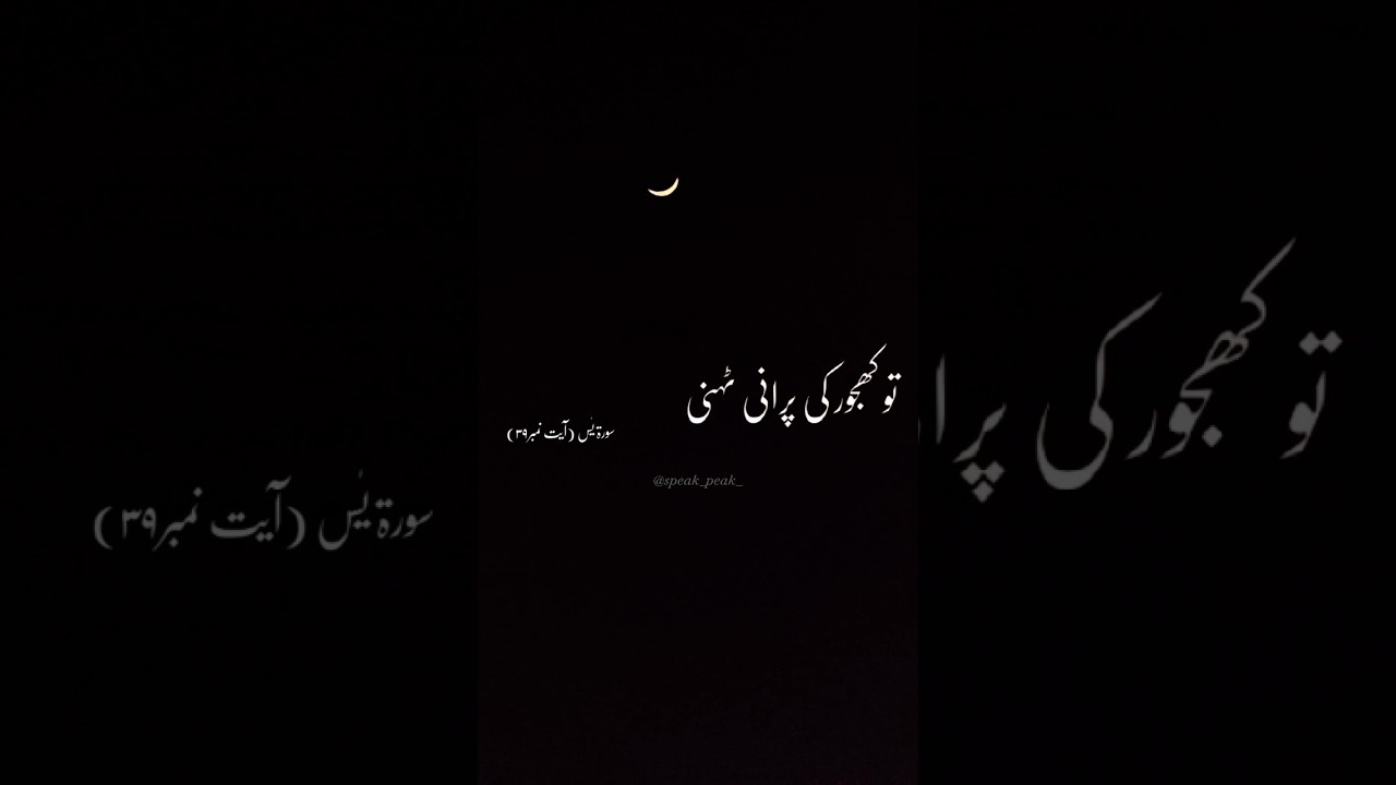 Surah Yaseen Ayat no 39 and 40 Moon Sun Day Night Islamic