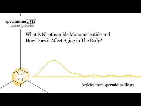 What Is Nicotinamide Mononucleotide and How Does it Affect Aging in The Body?