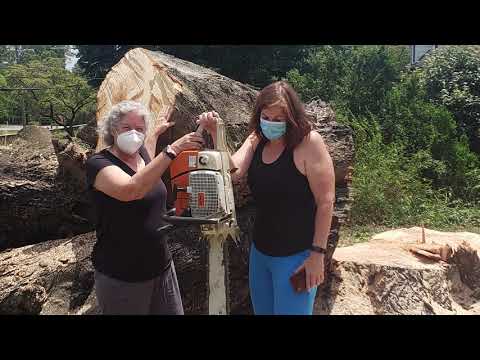 Big Maple Tree Removal in Washington VA