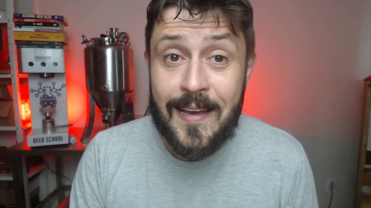 Aula 1 - O que é modelagem e simulação em bioprocessos?