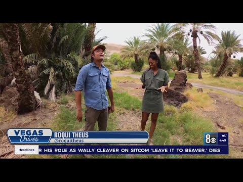 Vegas Drives - China Ranch Date Farm