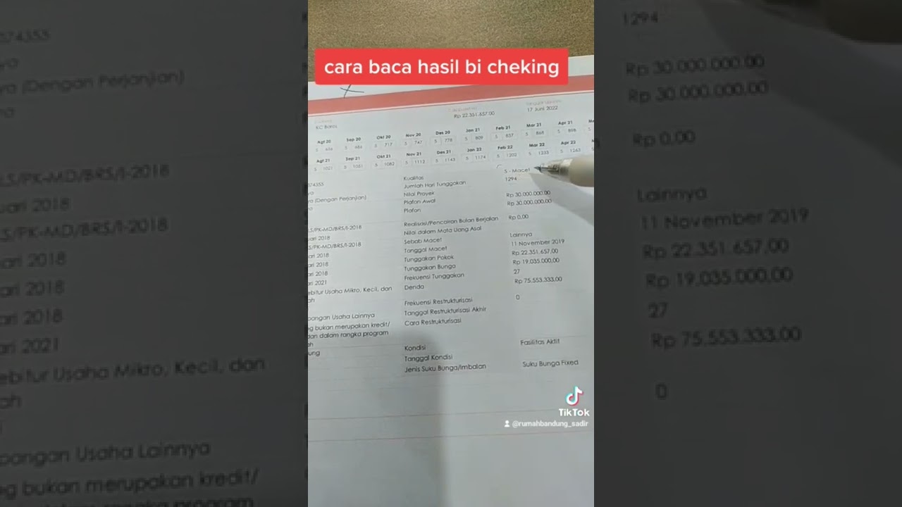 cara baca hasil bi cheking online