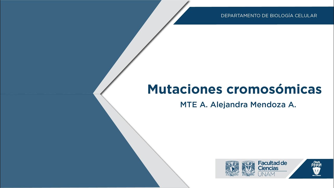 Mutaciones cromosómicas