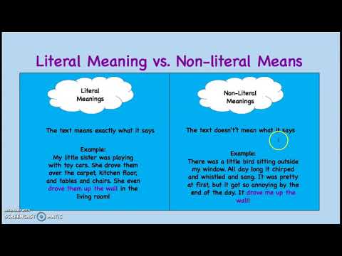 Literal and Nonliteral Language Learning Video