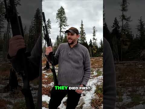Survival Strategies: How to Stay Safe Without Direct Enemy Contact