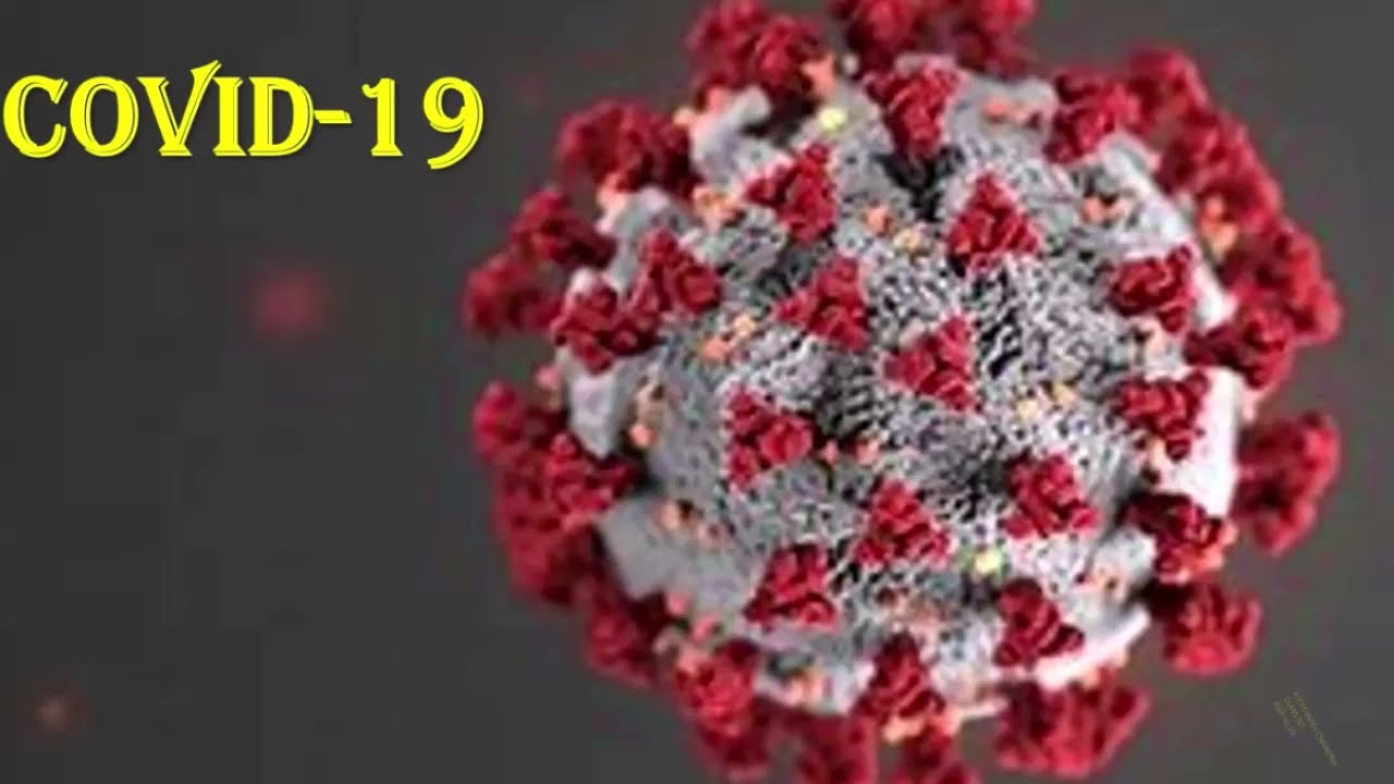 PPT ON COVID 19