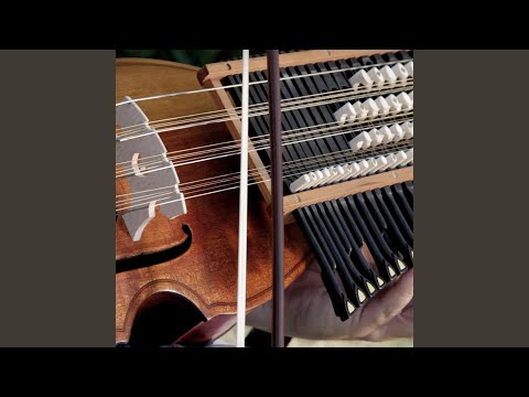 Palidorian