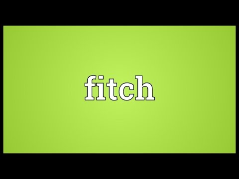 Fitch Meaning