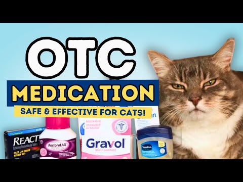 Top 7 OTC Meds Your Cat Absolutely Needs