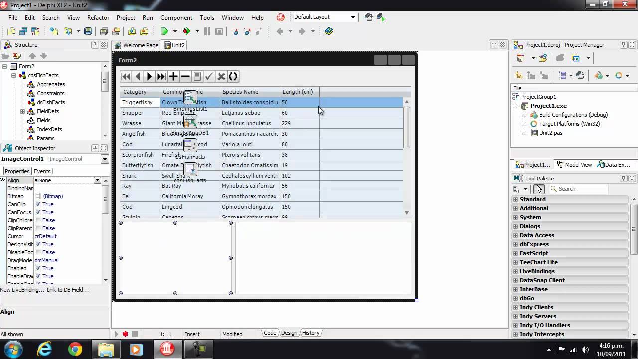 Delphi Programming Tutorial #61 - FishFacts using FireMonkey