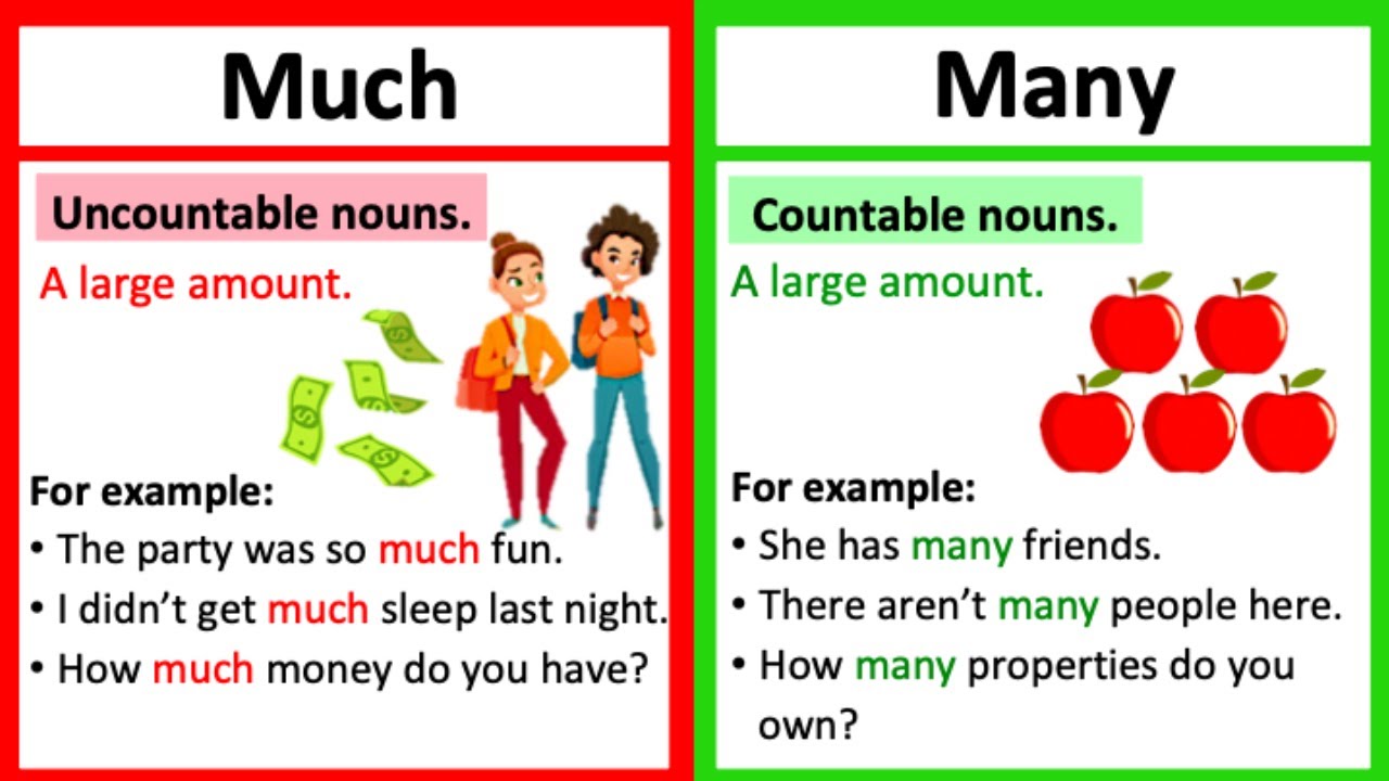 MUCH vs MANY 🤔 | What's the difference? | Learn with examples & quiz!
