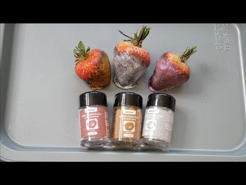 NOMECA Luster Dust Review | Food Grade Shimmer Metallic Food Coloring Powder Glitter for Baking