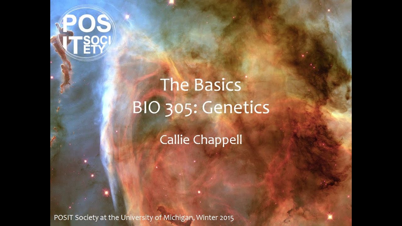 Back to Genetics Basics