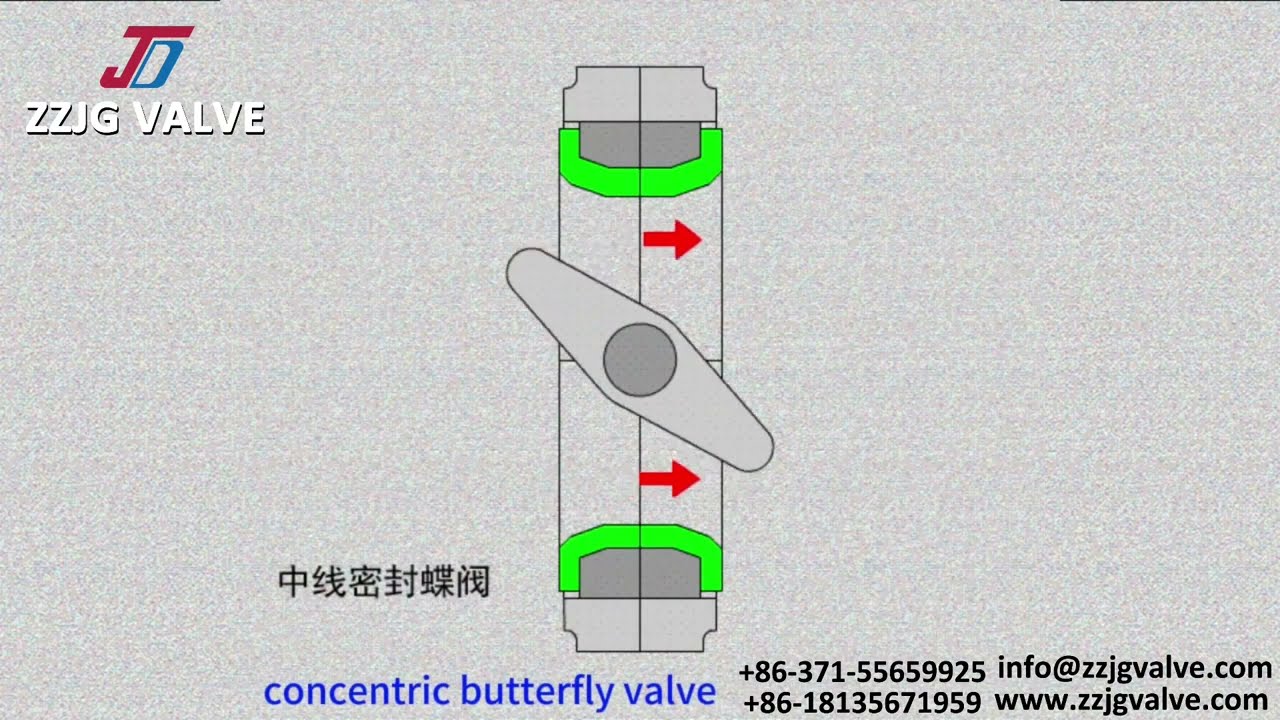 ZZJG VALVE Concentric VS Eccentric Butterfly Valve