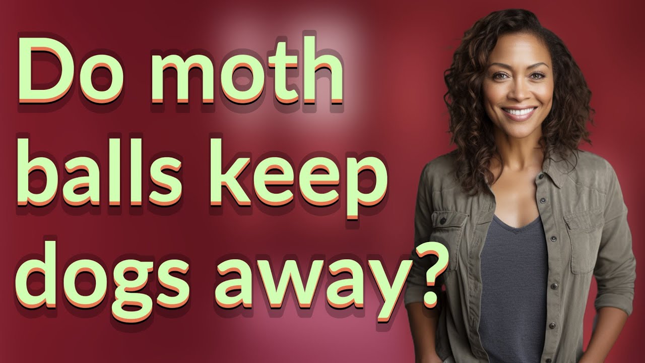 Do moth balls keep dogs away?