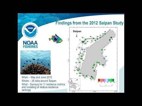 Reef Resilience Webinar: Assessing Coral Reef Resilience in Saipan, CNMI