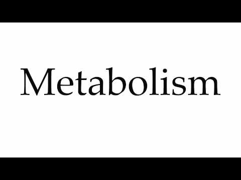 How to Pronounce Metabolism