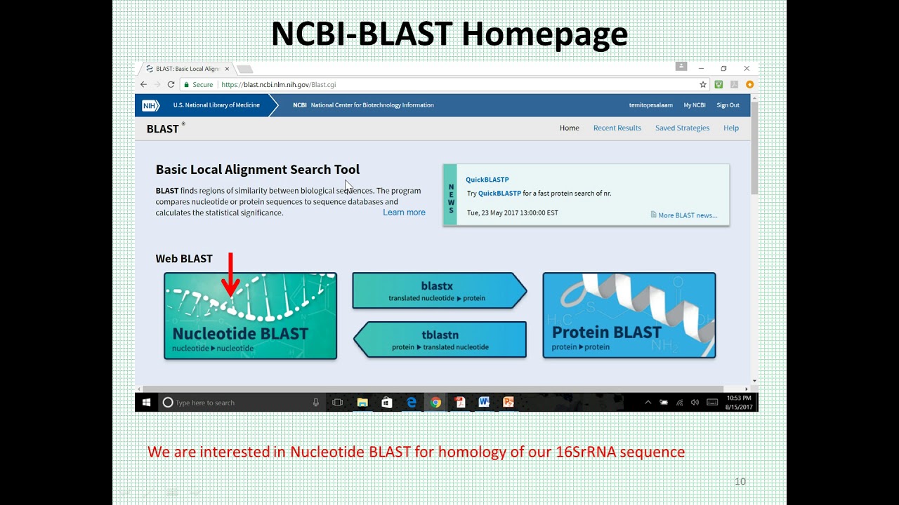 Identification of Microbes 1