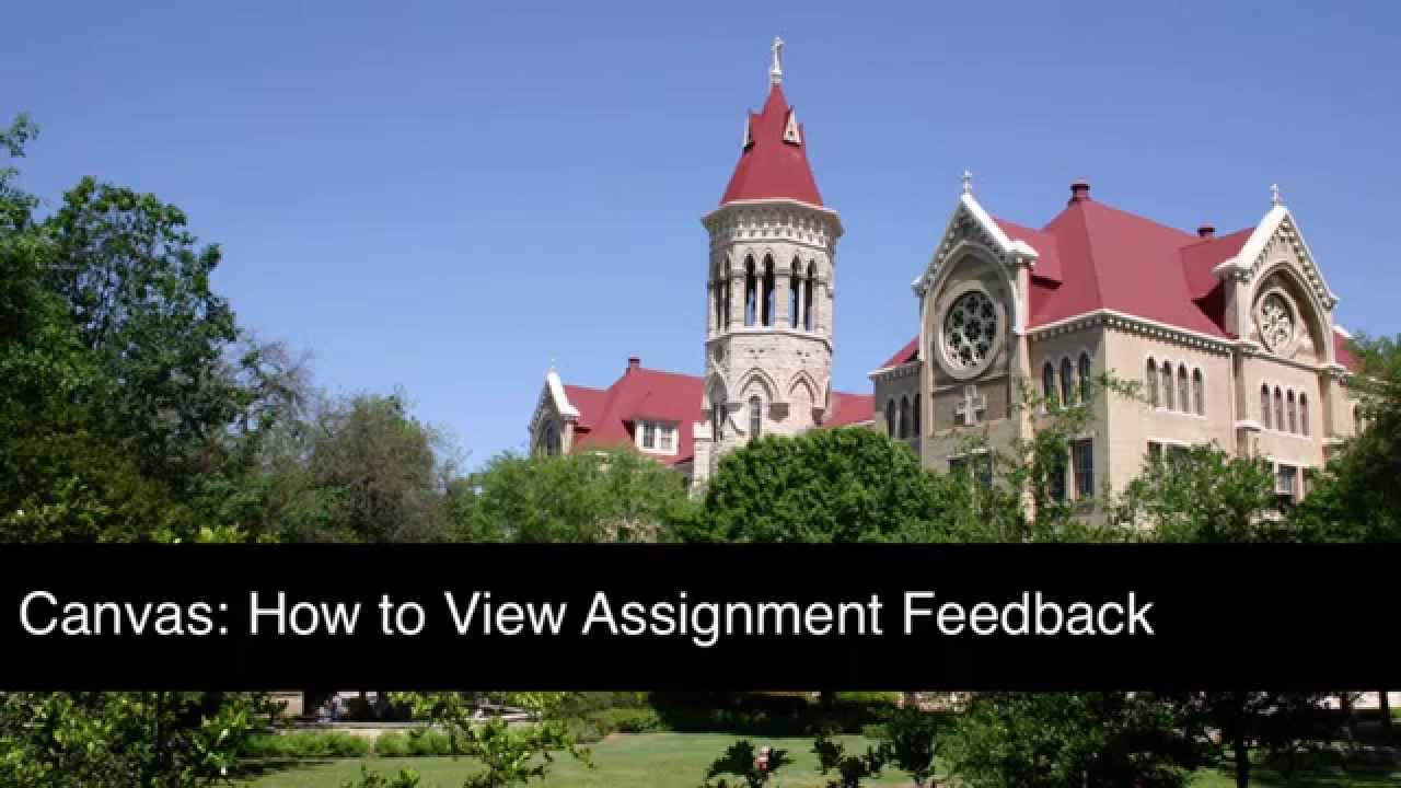 Student View Assignment Feedback
