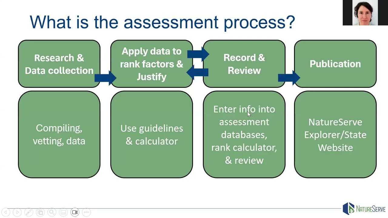Element Ranking: Element Ranking Process