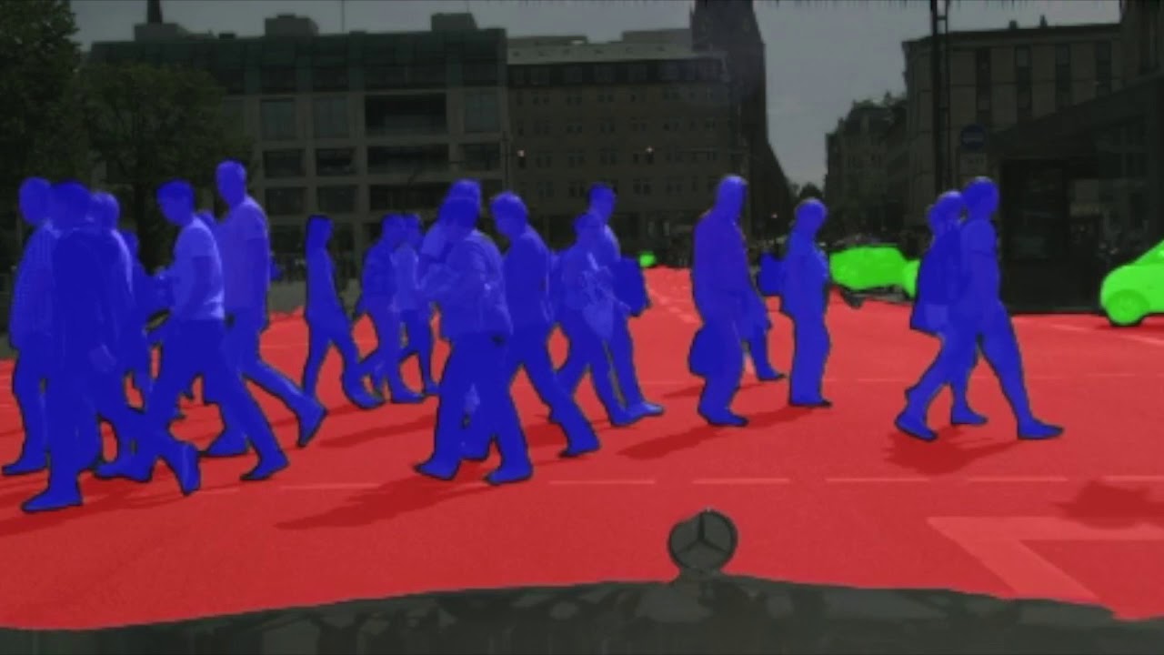 Image Segmentation Training Process Visualization