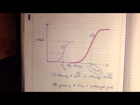 Ec50 &efficacy &potency