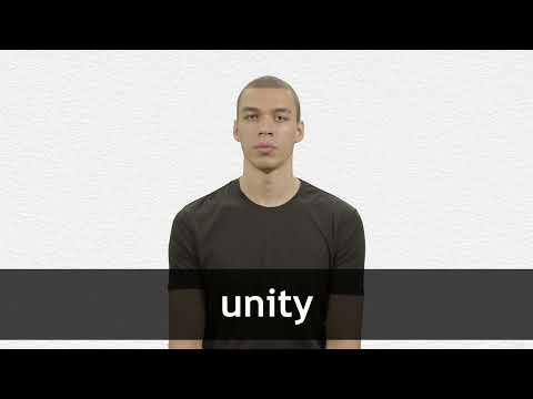 UNITY definition and meaning | Collins English Dictionary