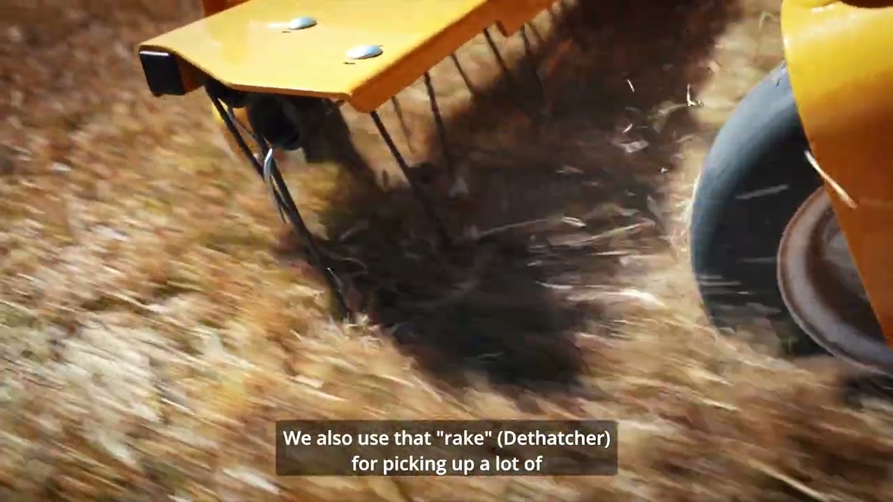 Walker Versatility - Dethatching