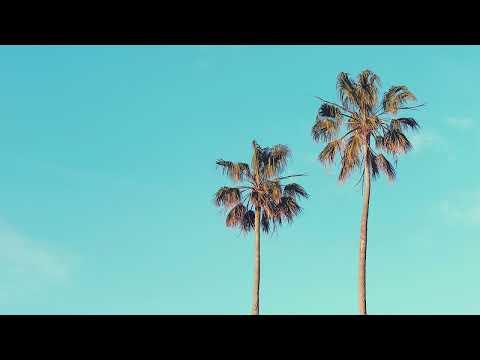 Lofi Energizer: The Ultimate Upbeat EDM Mix for Lofi Lovers
