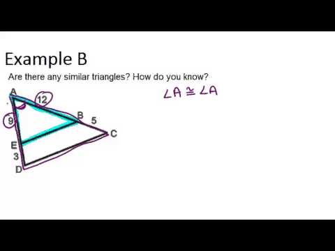 SAS Similarity: Examples (Geometry Concepts)