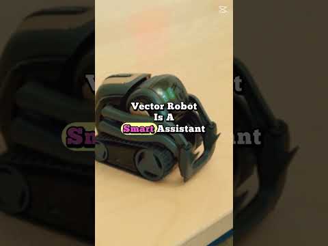 Anki Vector Robot with Alexa #vector #vectorrobot #robot #ai #shorts #viralvideo #trending #usa