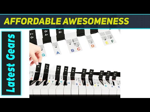Best Removable Piano Keyboard Note Labels Guide for Beginners