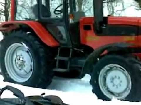 lov na divi praseta gr varbitsa 2013