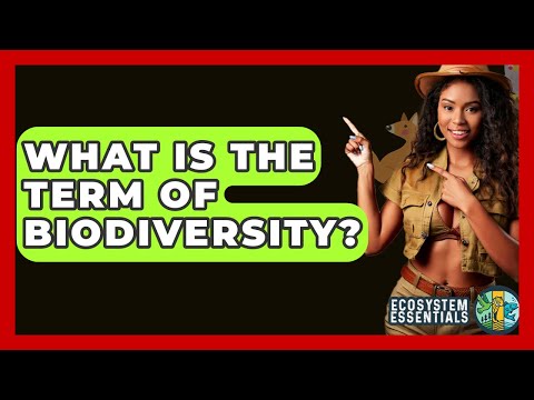 What Is The Term Of Biodiversity? - Ecosystem Essentials