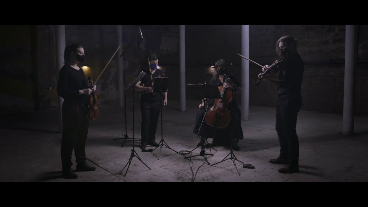 Caroline Shaw: Plan & Elevation -The Beech Tree