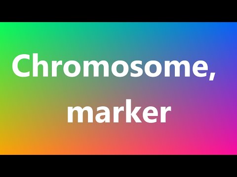 Chromosome, marker - Medical Meaning and Pronunciation