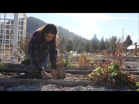 UNCOVERING AN UNTAMED FRENCH KITCHEN GARDEN / potager garden / cottage garden (PT. 1)