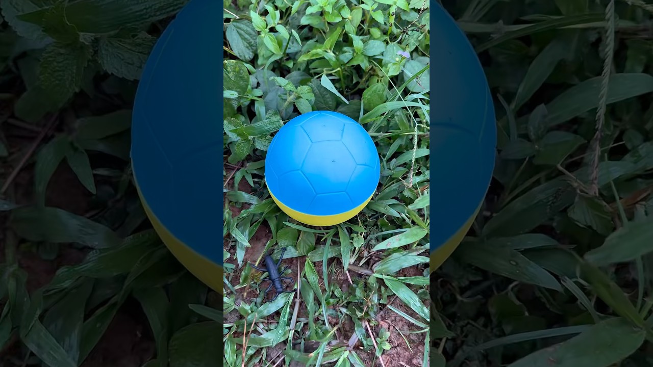 Egg Surprise - Wait Don't scroll 😱🫣 #scary #creepypasta #egg #creepy #eggs 260