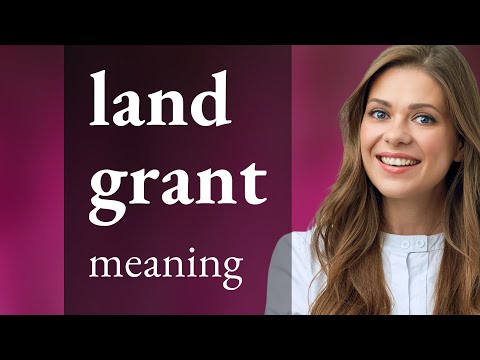 Land grant — definition of LAND GRANT