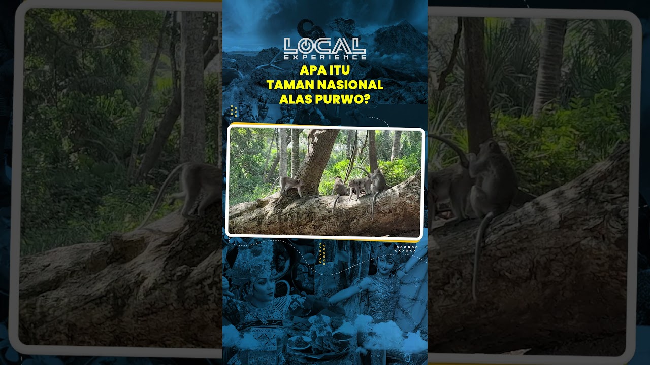 Apa Itu Alas Purwo, Hutan Tertua di Jawa yang Fenomenal akan ...