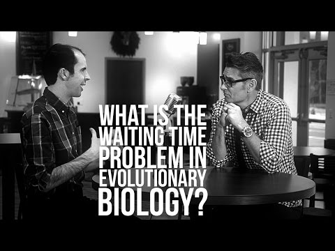 926. What Is The Waiting Time Problem In Evolutionary Biology?