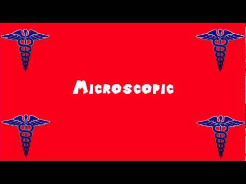 Pronounce Medical Words ― Microscopic