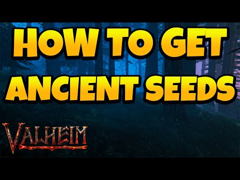 Steam Community :: Video :: How to Find Ancient Seeds in Valheim