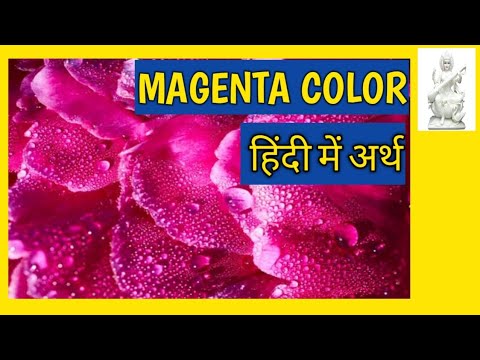 MAGENTA//MEANING IN HINDI//हिंदी में अर्थ