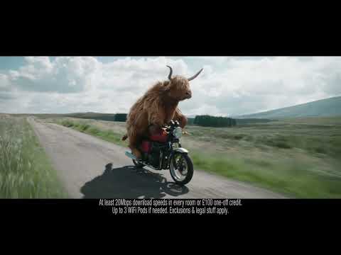 Incredible CGI images show making of Highland cow on motorbike ad for ...