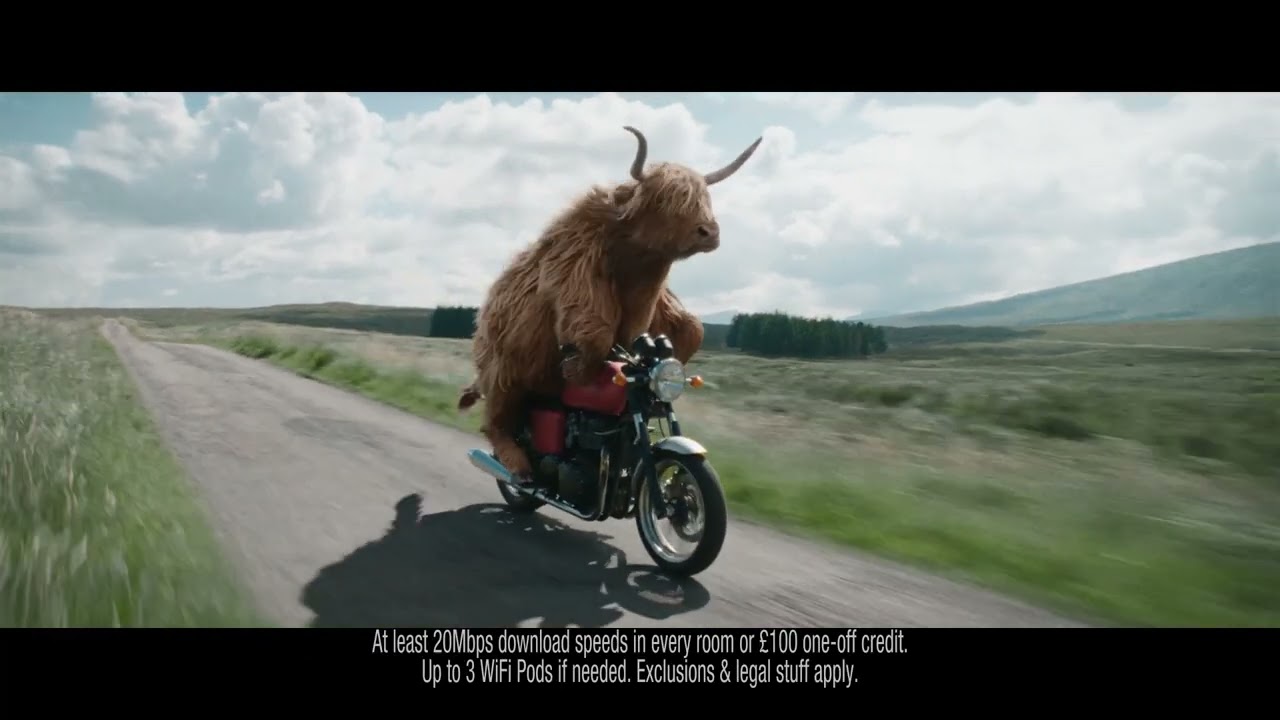 Incredible CGI images show making of Highland cow on motorbike ad for ...