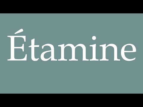 How to Pronounce ''Étamine'' (Stamen) Correctly in French