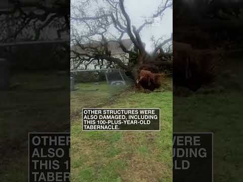 Texas storms damage multiple structures | #shorts #newvideo #trending #subscribe #youtube