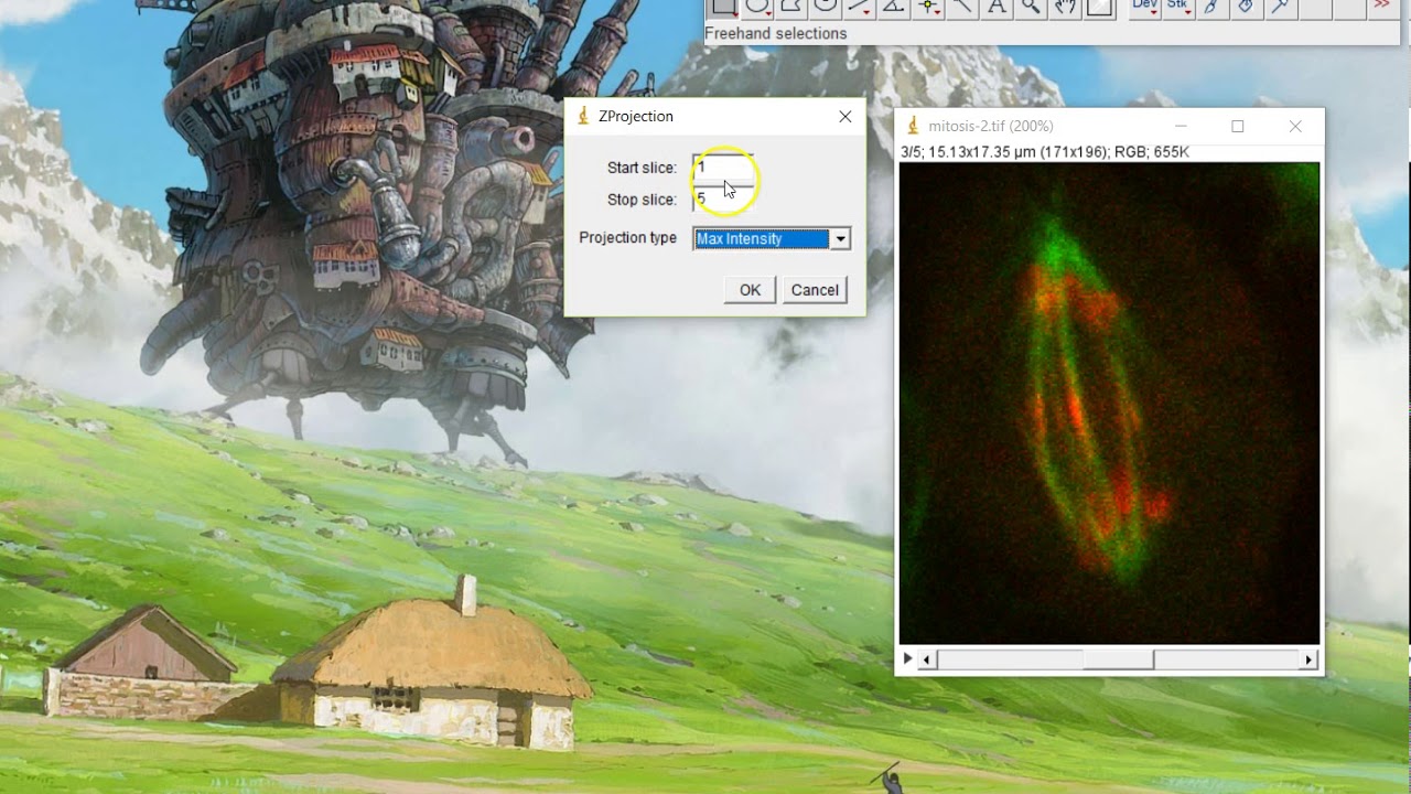 ImageJ Tutorial:  How to merge z stack slices into one