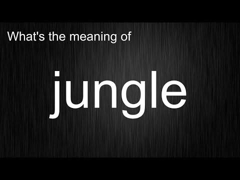 No More Confusion! Explaining "jungle" Meaning, Teaching You Standard British Pronunciation!